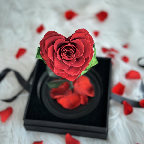 Style Large Glass Dome Heart Rose & Necklace With Gift Box Medium Glass ...